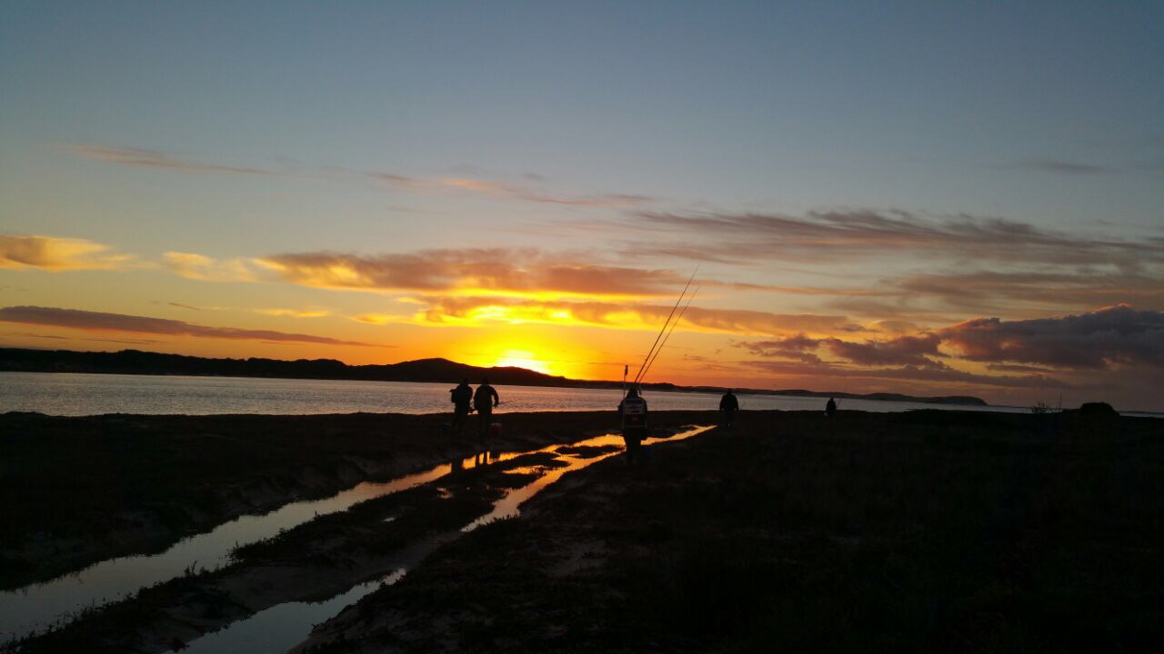 a perfect day – blikkiesvis